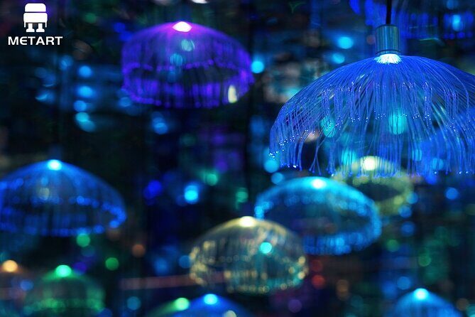 Metartworld: Immersive Art Space, The Best of Melbourne - Visitor Experience and Practical Tips