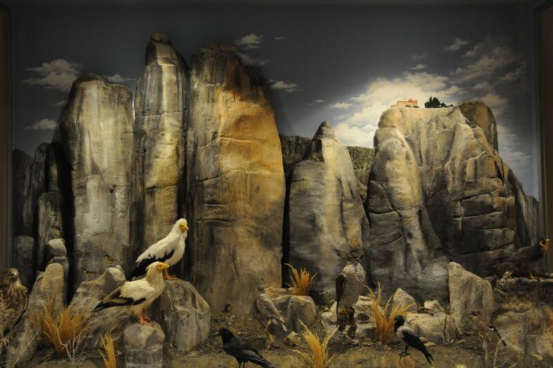 Meteora: Natural History Museum and Mushroom Museum Tour - Practical Tips for Visitors