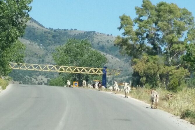 Meteora tour by coach from Corfu - Final Thoughts