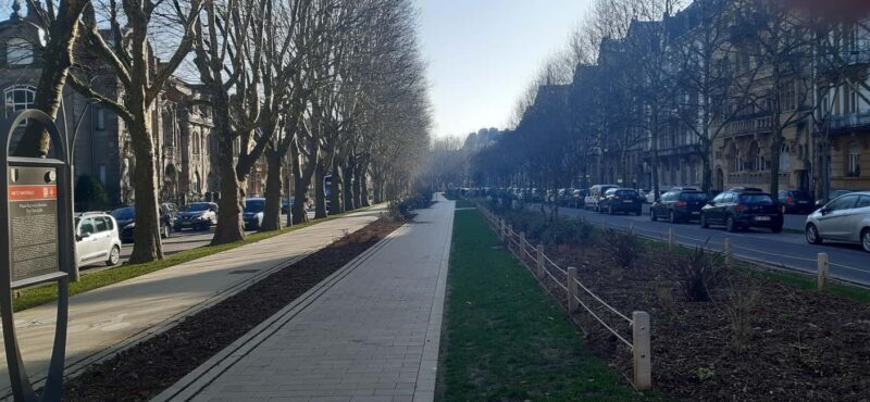 Metz: a guided walking tour of the city's key spots - Who Should Consider This Tour?  