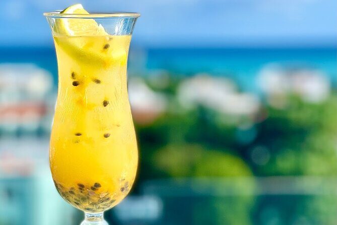 Mexican Drinks & Appetizers HandsOn Experience - Playa del Carmen - The Experience You’ll Take Home