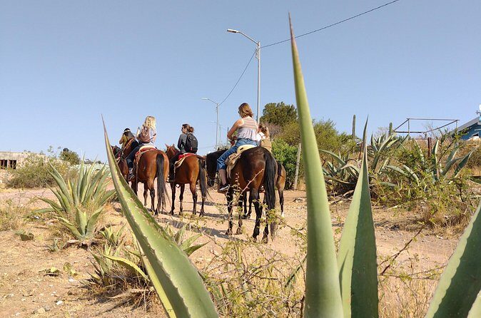 Mexican Equestrian Experience - Who Is This Tour Best For?