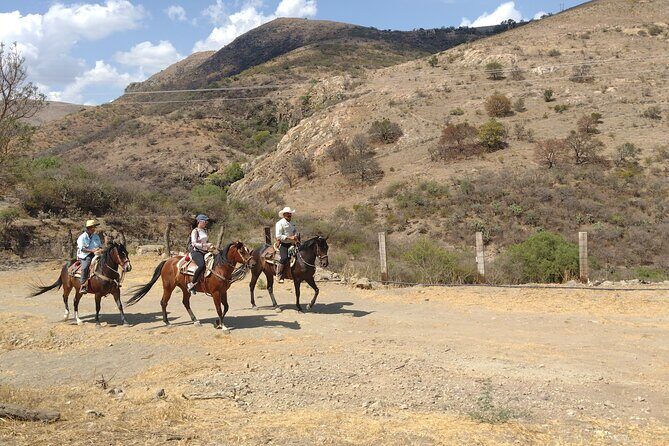 Mexican Equestrian Experience - Final Thoughts