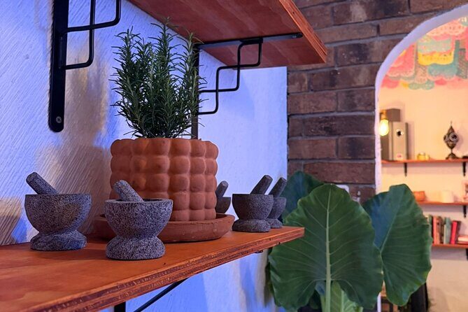 Mexican Mixology Workshop with Panoramic View in Coyoacán - An In-Depth Look at the Experience