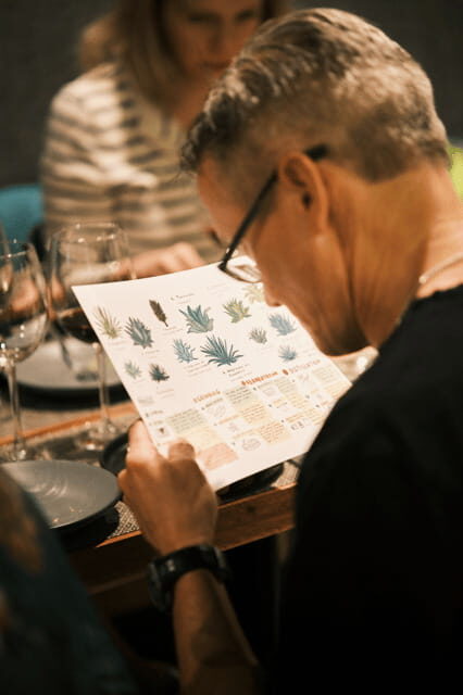 Mexican Spirits Tasting: Experience the Essence of Tradition - Final Thoughts