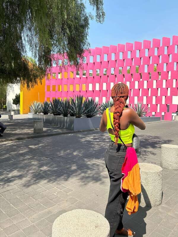 Mexico City: 1960s &1970s Mexican Architecture Walking Tour - A Quick Look at the Experience