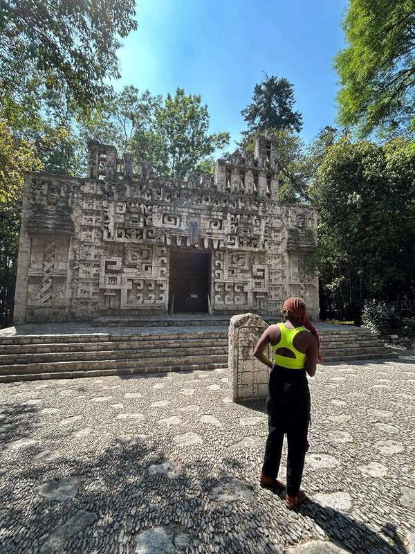 Mexico City: 1960s &1970s Mexican Architecture Walking Tour - Who Would Love This Tour?
