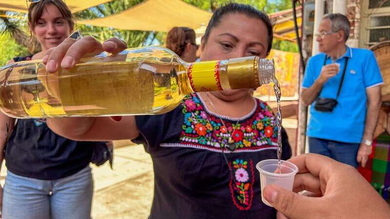 Mexico City: Balloon Flight, Teotihuacan & Guadalupe Shrine - Frequently Asked Questions