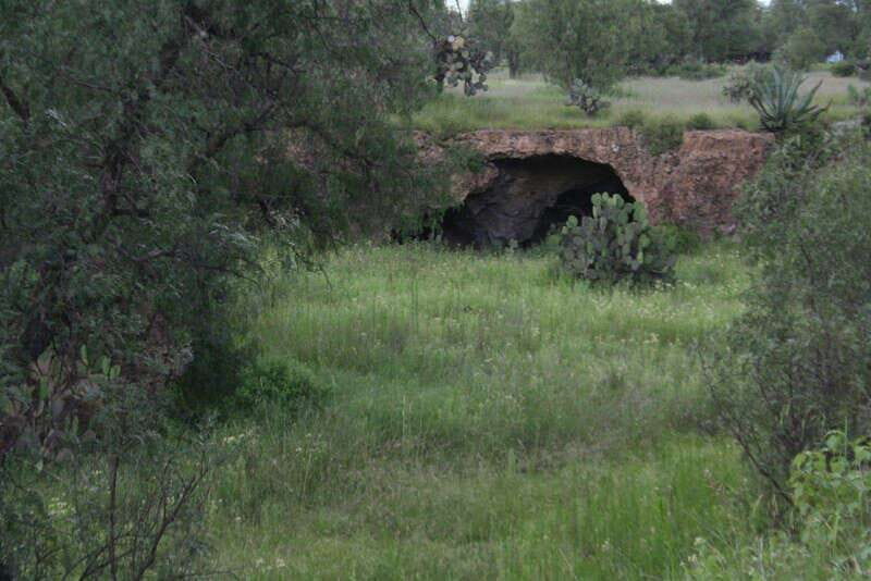 Mexico City: Basilica and Teotihuacan Pyramids Tour - An In-Depth Look at the Tour