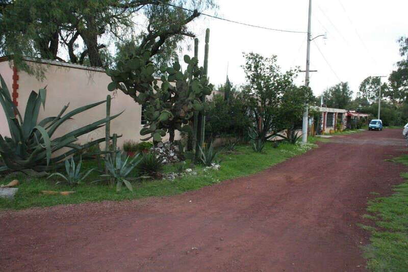 Mexico City: Basilica and Teotihuacan Pyramids Tour - Who Is This Tour Best For?