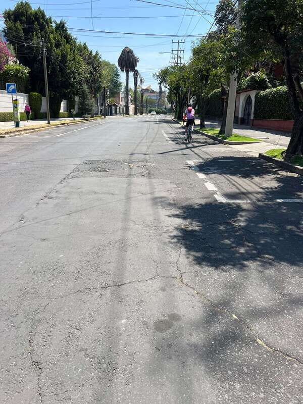 Mexico City: Bike, Cannabis, Nature, Food, Culture and History. - Key Points