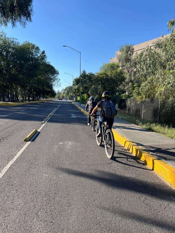 Mexico City: Bike, Cannabis, Nature, Food, Culture and History. - Who Is This Tour Perfect For?