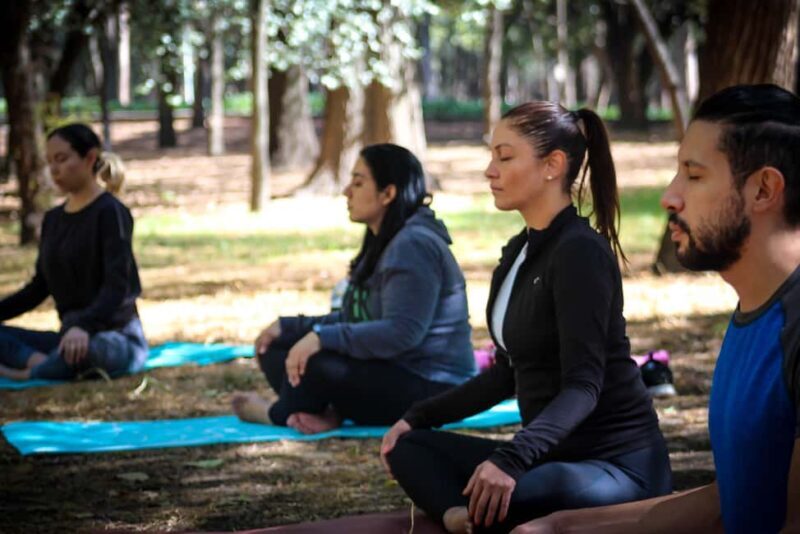 Mexico City: Chapultepec Park Yoga Class with Sound Bath - An Authentic Wellness Break in Mexico City’s Largest Park