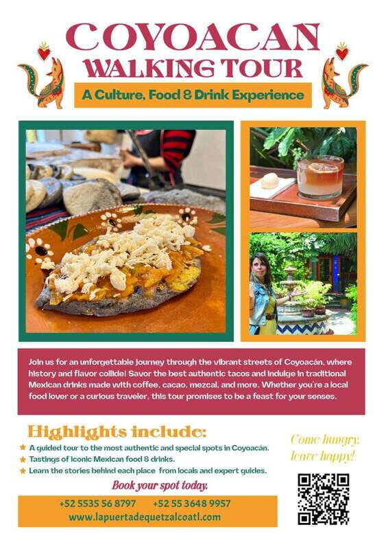 Mexico City: Coyoacán Walking Tour - Final Thoughts