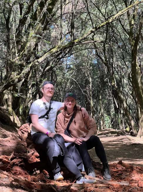 Mexico City: Desierto de los Leones Hike & Ex-Convent Tour - Key Points