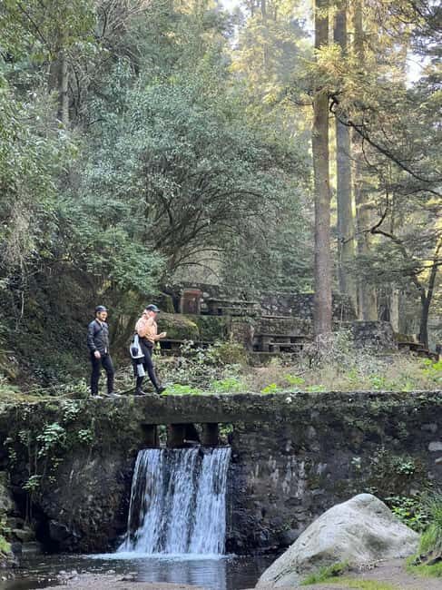 Mexico City: Desierto de los Leones Hike & Ex-Convent Tour - The Value of This Tour