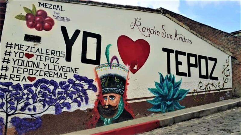 Mexico City: Explore Mexican Gardens and Tepoztlan Town - Key Points