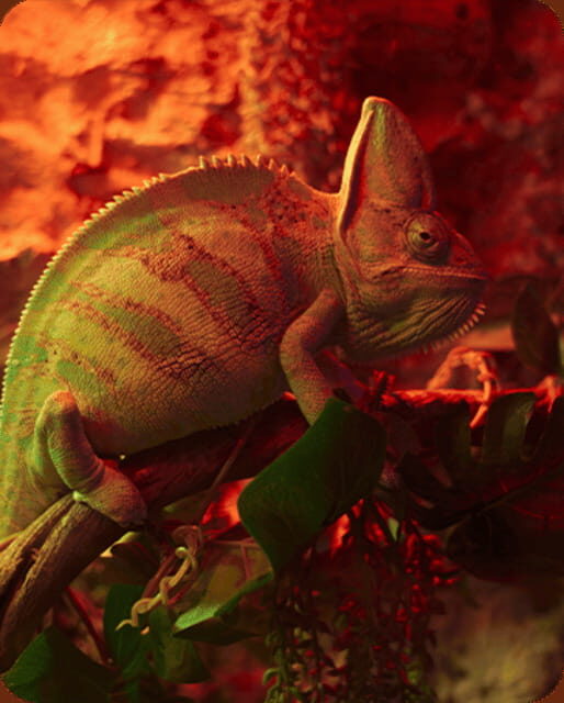 Mexico City: Fast Pass Ticket to Acuarium Inbursa - What to Expect from the Inbursa Aquarium Fast Pass