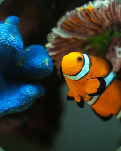 Mexico City: Fast Pass Ticket to Acuarium Inbursa - Who Is This Tour Best Suited For?