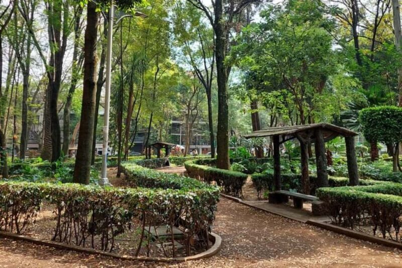 Mexico City: Guided Bike Tour of Culture and Local Taste - The Sum Up