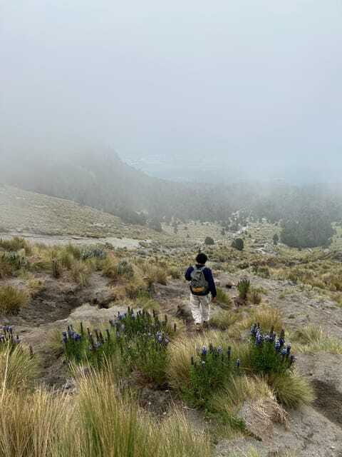 Mexico City: Hiking to la Malinche private day tour - FAQs