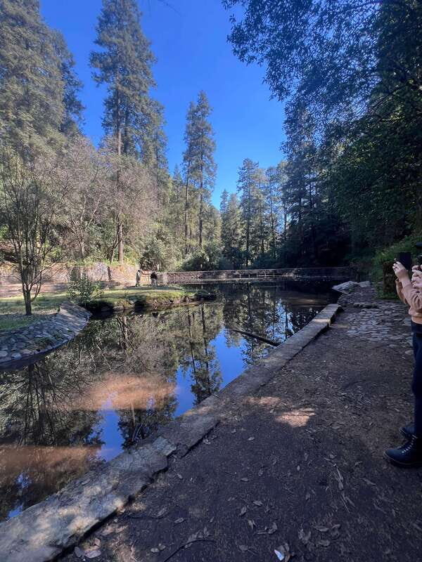 Mexico city: Hiking tour to Desierto de los leones - Key Points