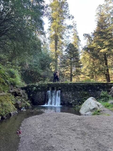 Mexico city: Hiking tour to Desierto de los leones - Practical Tips for Participants