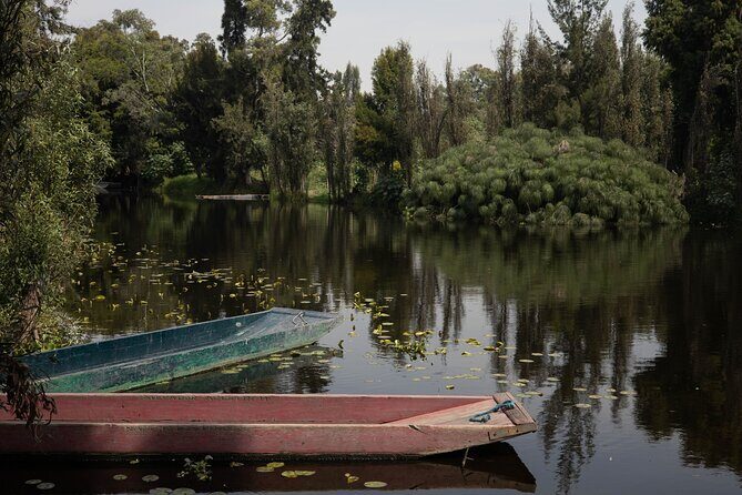 Mexico City Layover Tour Art, Culture and Color - Key Points