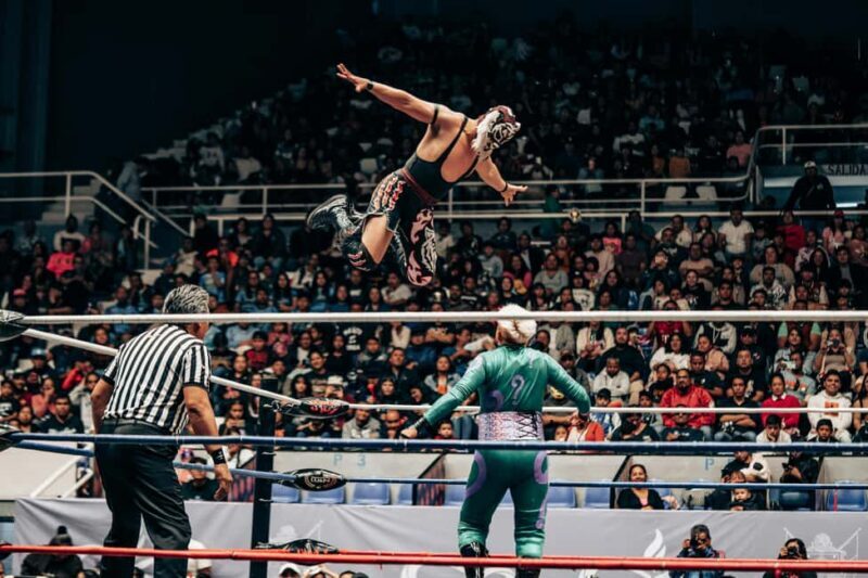 Mexico City: Mexican evening, lucha libre, and tequila - Practical Details & Value
