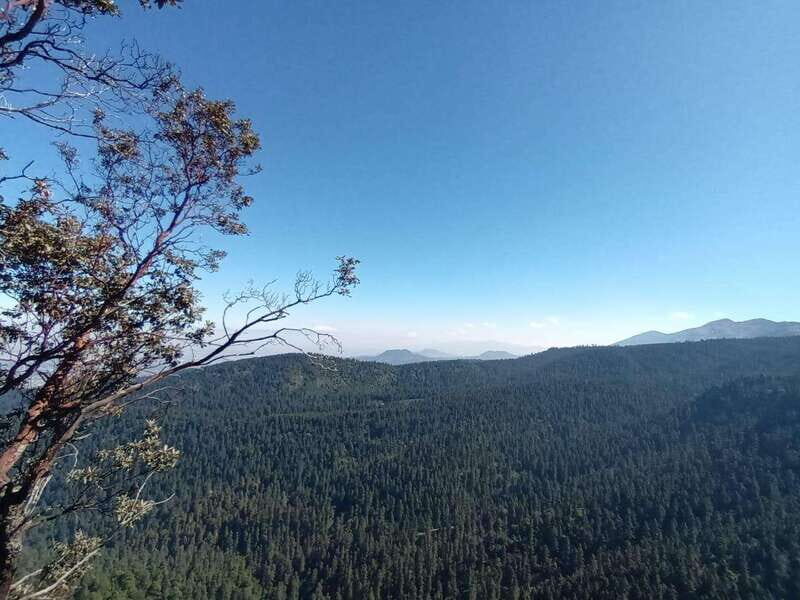 Mexico City: Morning Hiking at Mirador Coconetla - Mexico City: Morning Hiking at Mirador Coconetla