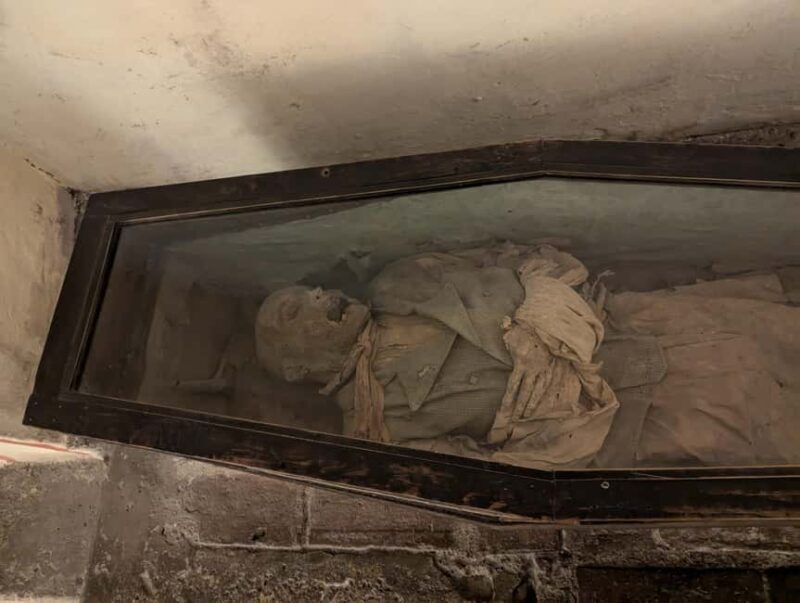 Mexico City: Museum of El Carmen Tour with Ticket - An Authentic Tour Through Mexico City’s Hidden Treasure