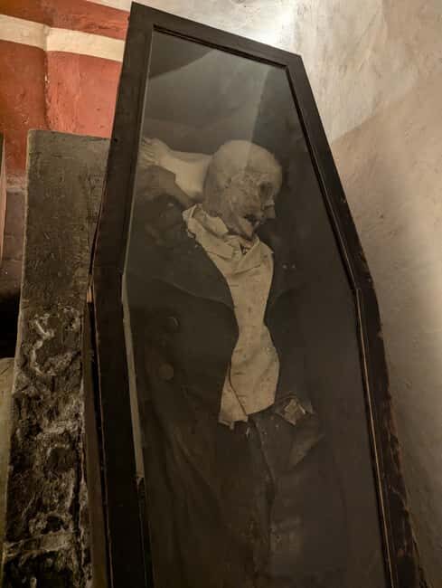 Mexico City: Museum of El Carmen Tour with Ticket - FAQ