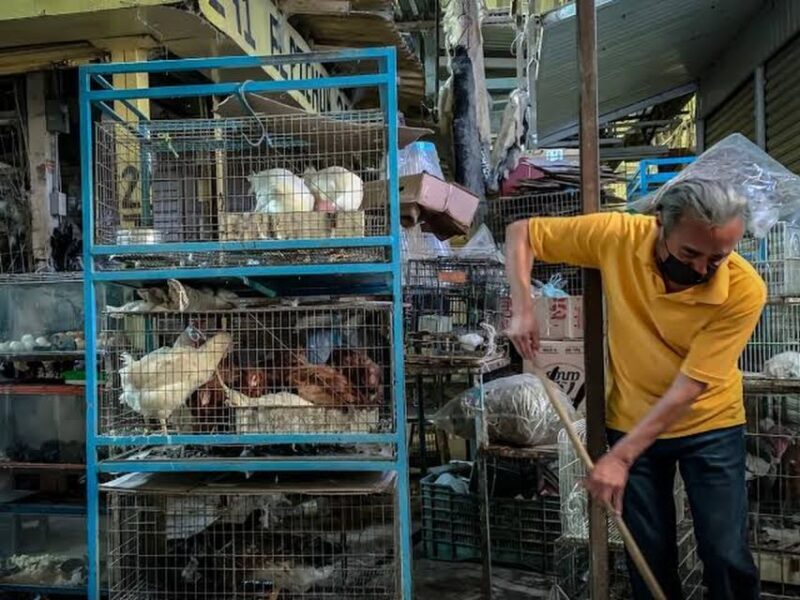 Mexico City: Mystic Markets La Merced & Sonora Culinary Tour - The Food: A Delicious Journey