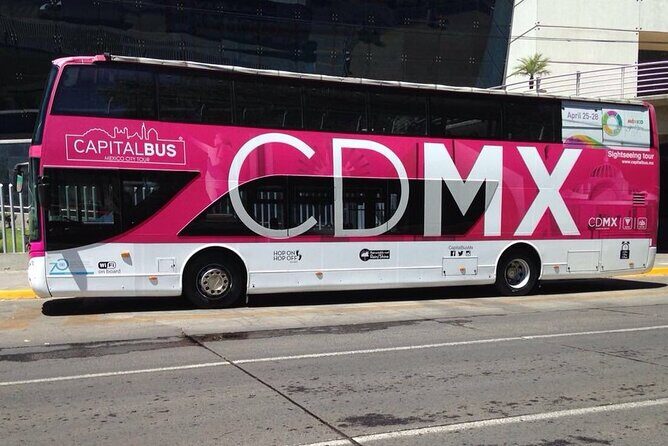 Mexico City Night Bus Tour - Who Will Enjoy This Tour?