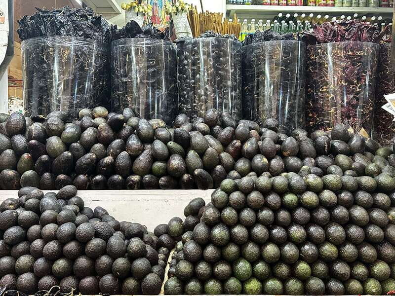 Mexico City: Old Town Food Tour of 7 Tastings & Secret Dish - Key Points