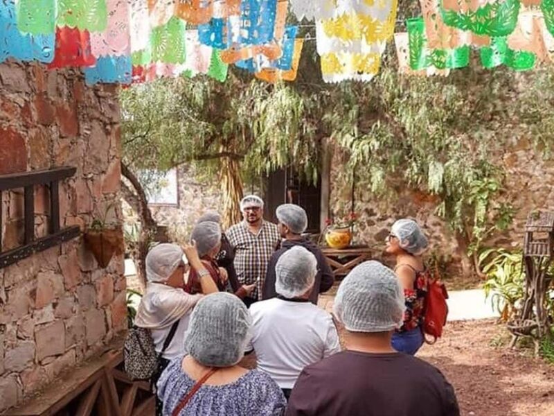 Mexico City: Private Cheese and Wine Tour to Queretaro - How the Tour Unfolds: A Detailed Look