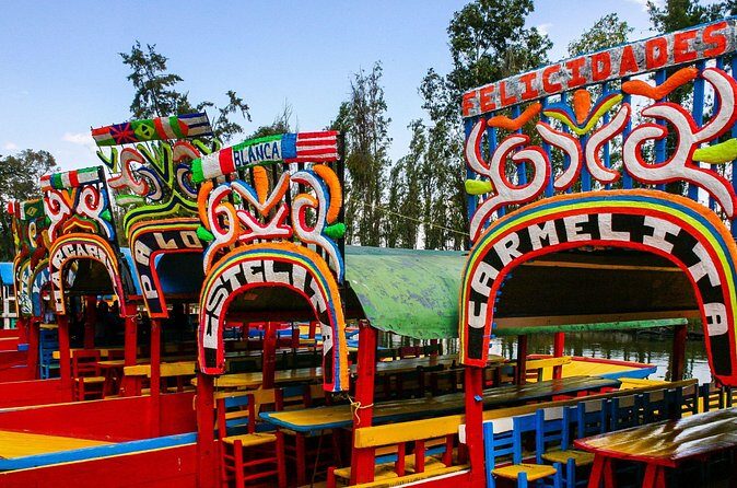 Mexico City Private Street Art Walking Tour With A guide - Value and Practical Considerations