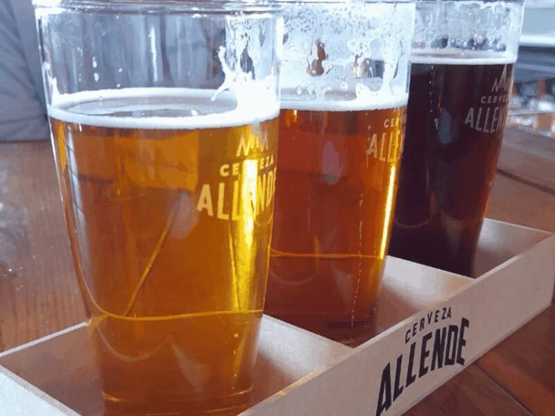 Mexico City: San Ángel Magical Mexican Food Tour - Final Thoughts