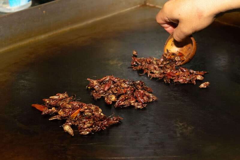 Mexico City: Street Food, Mole & Mezcal Small Group Tour - Final Thoughts