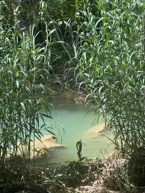 Mexico City: Taxco Thousand Waterfalls - Natural Water Park - The Food and Rest Breaks