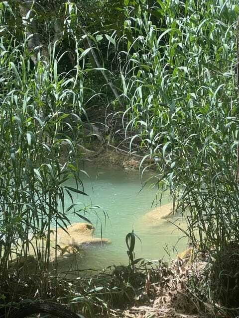 Mexico City: Taxco Thousand Waterfalls - Natural Water Park - Who Should Consider This Tour?