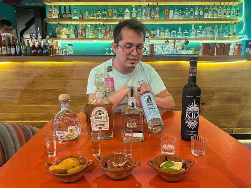 Mexico City: Tequila and Mezcal Museum Tour with Tasting - Why This Tour Works Well