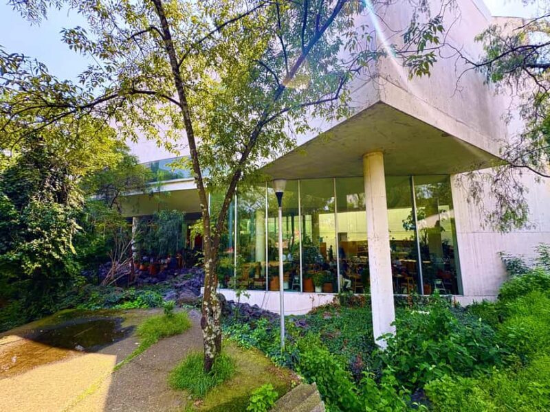 Mexico City: UNAM Campus walking Tour with Guide - Who Will Love This Experience?