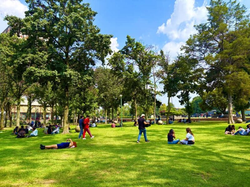 Mexico City: UNAM Campus walking Tour with Guide - FAQ