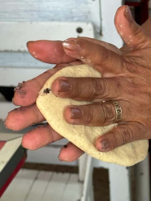 Mexico City: Vegan & Veggie Market Tour with Cooking Lesson - Final Thoughts