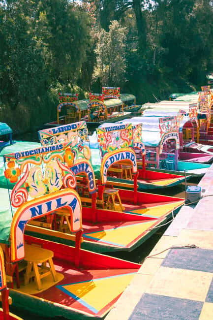 Mexico City: Xochimilco Boat with Guacamole & Premium Drinks - The Beauty of the Xochimilco Experience