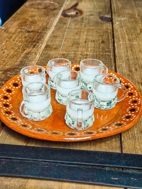 Mexico Off The Beaten Track/ Street Food Bike Tour - Mexico Off The Beaten Track/ Street Food Bike Tour Review