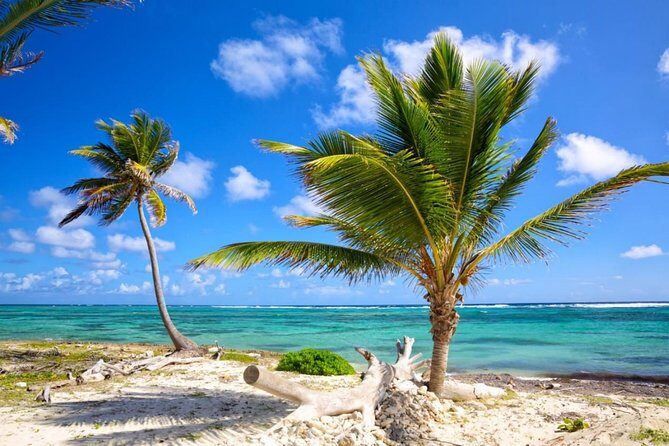 Mexico Private Transfer from Marina Vallarta to Puerto Vallarta (PVR) Airport - Who Will Benefit Most?