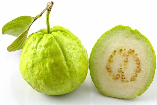 Mexico's Tropical Fruit Guided Tasting in Monterrey - FAQ