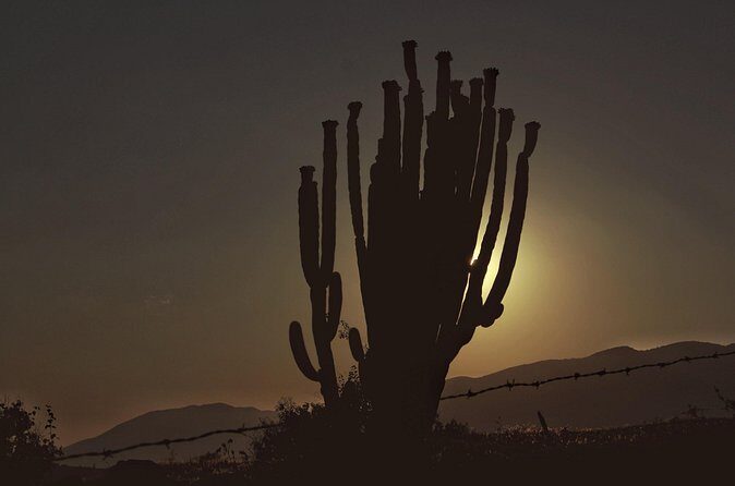 Mezcal Culture Cycling Tour in a Zapotec Village - FAQs